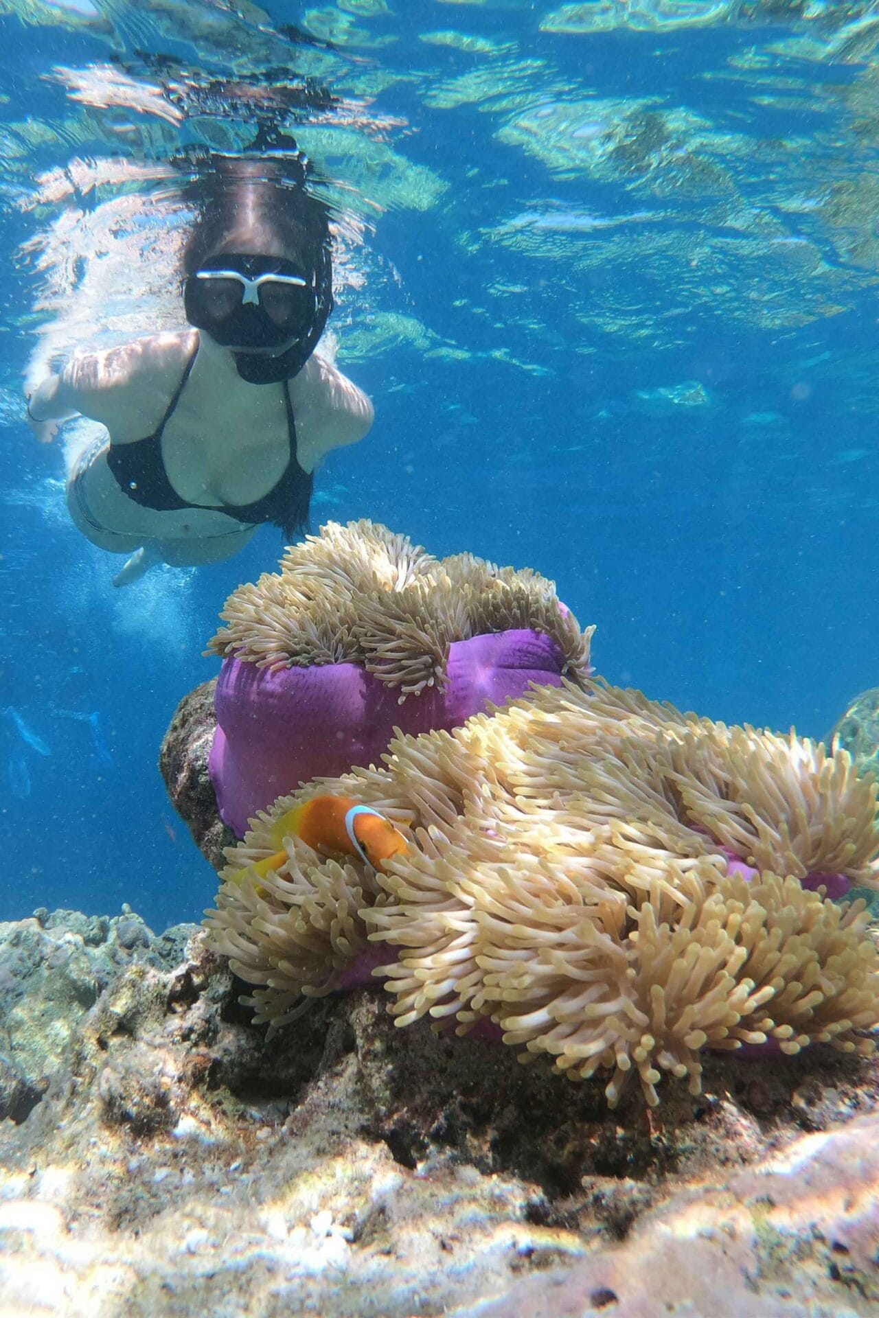 Musa and Reef - Only Bubbles - Snorkeling in Cancun